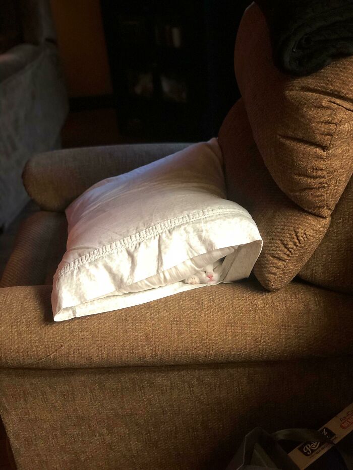 Situácie, keď sa bežné fotky ľudí zmenili na vtipné momenty. Toto vás ...